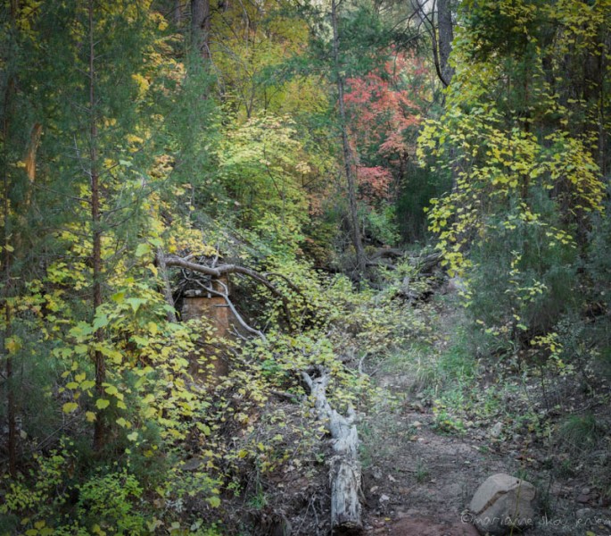 Sedona Fall Color – Slide Rock State Park | marianne skov jensen