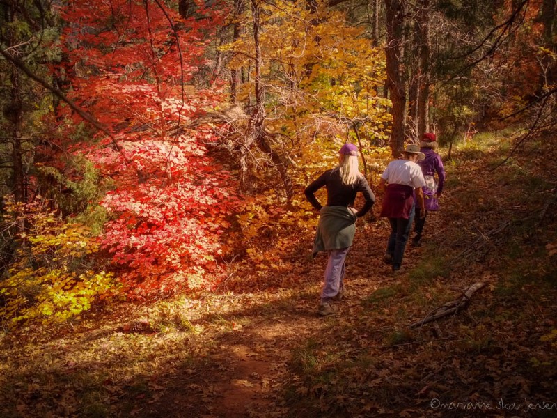 Sedona Fall Color – Slide Rock State Park | marianne skov jensen